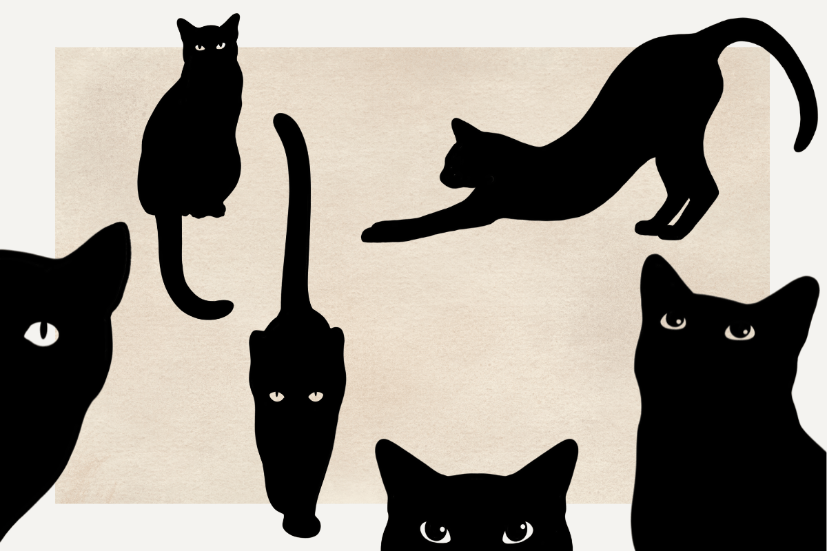PLOTTER FREEBIE SET - KATZEN SILHOUETTEN - ella mattsson